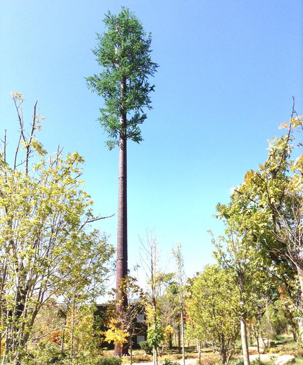 30m High Mast Multifunctional Steel Monopole Tower For Railway Stations