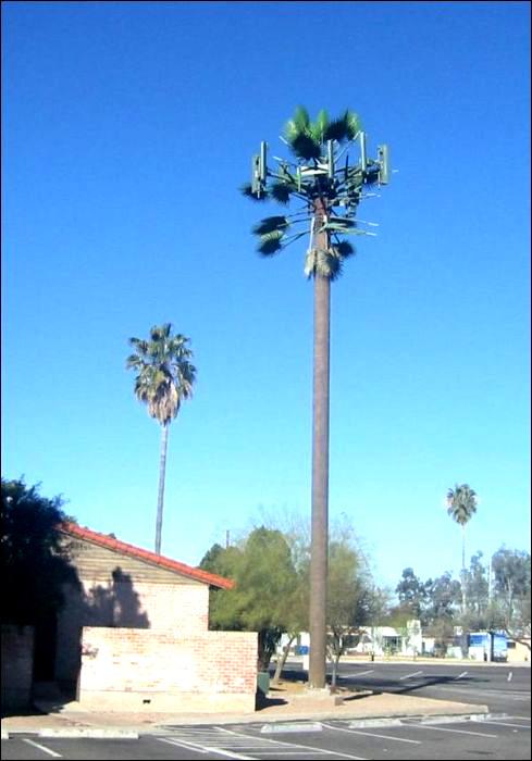 ODM 30m Artificial Palm Tree Disguised Cell Towers Galvanized Steel ...