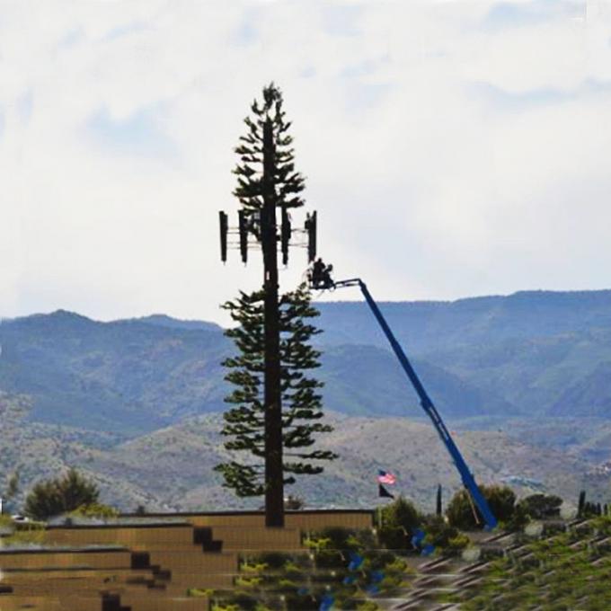 Galvanized Steel Pipes Monopole Cell Towers Artificial Trees and Plants